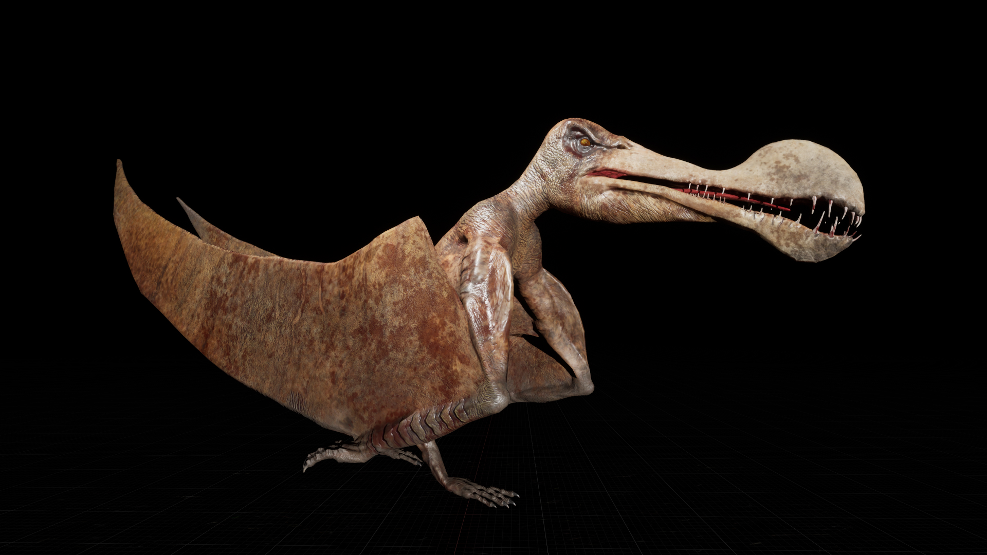 Katılım Emeklilik | Digizoo